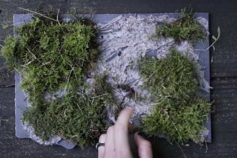 Moss Walls, Biophilic Design - Sustaining Tree