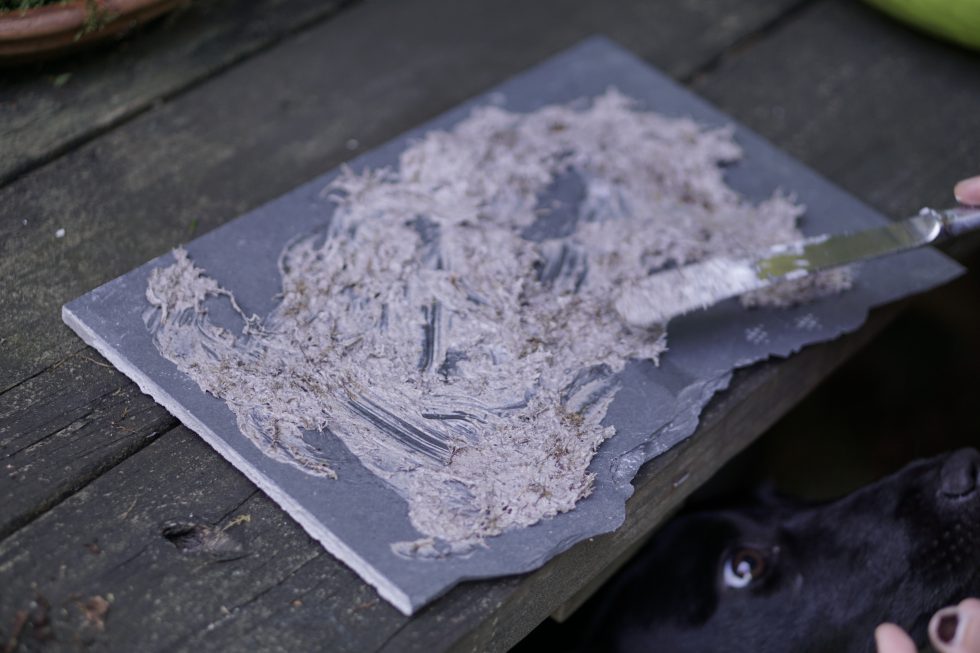 Moss Walls, Biophilic Design - Sustaining Tree