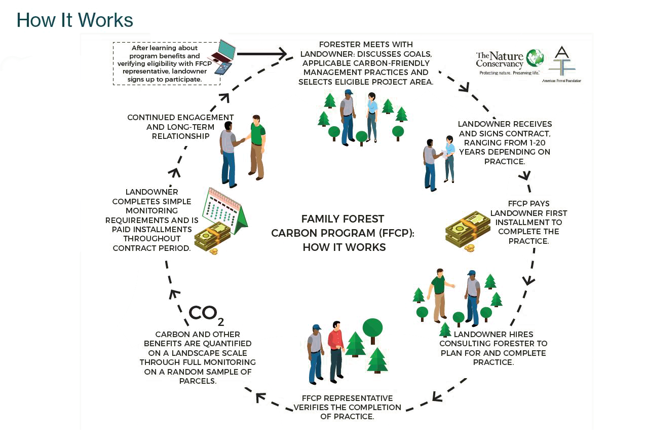 A Lil' About the Family Forest Carbon Program - Sustaining Tree
