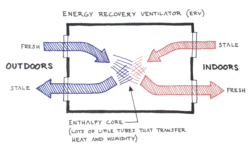 LBC: The Health & Happiness Petal - Sustaining Tree