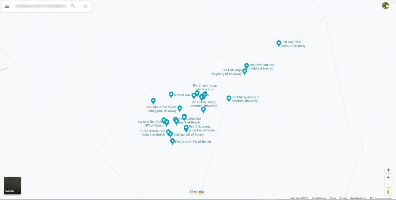 Mapping Trees II - Sustaining Tree