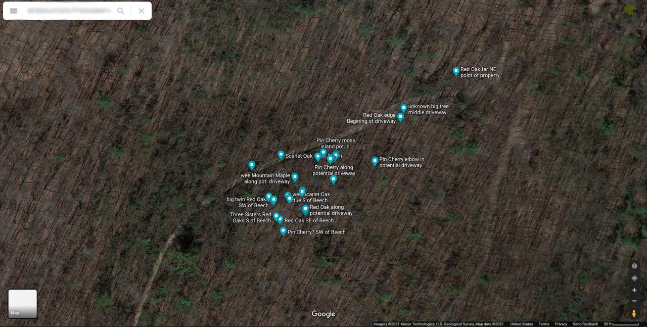 Mapping Trees II - Sustaining Tree